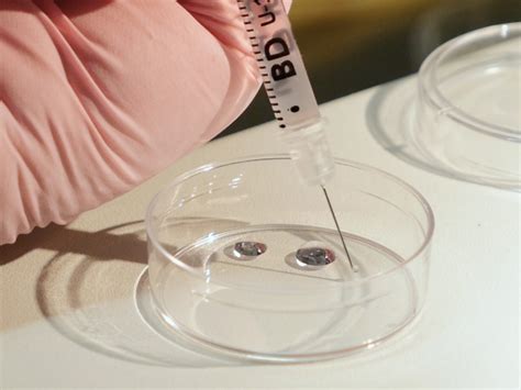 Video Generation Of Genetically Modified Mice Through The