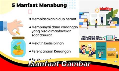 5 Manfaat Gambar Yang Perlu Anda Ketahui Biotifor
