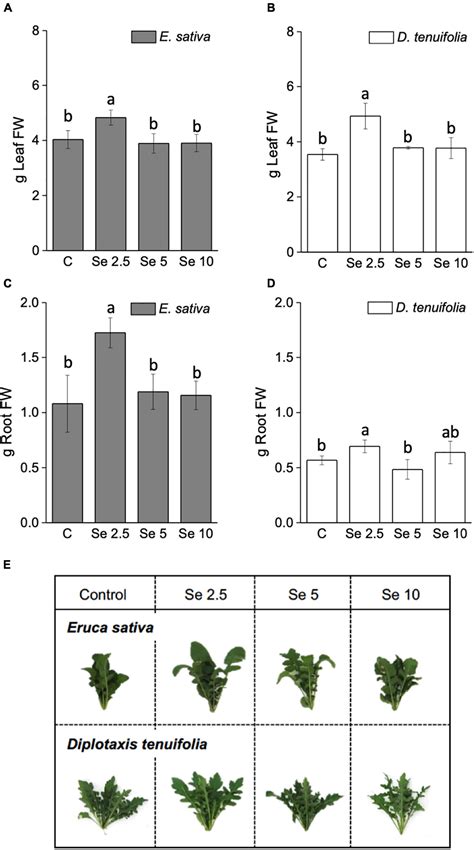 Frontiers Foliar Selenium Fertilization Alters The Content Of Dietary