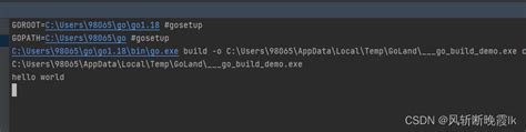 Go语言websocket客户端实践 Csdn博客