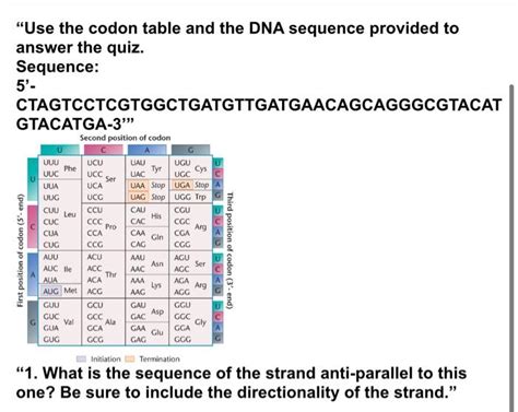 solved use the codon table and the dna sequence provided to