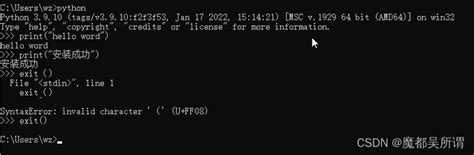 Python 保姆级win11环境安装pythonpython 11的安装教程 Csdn博客