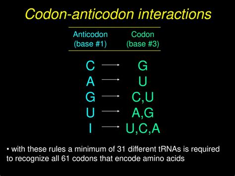 The “2nd Genetic Code” Pages 1075 To Ppt Download