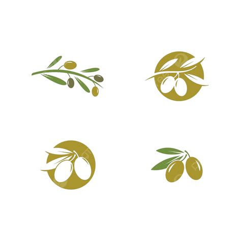 Olive Logo Background Green Logo Vector Background Green Logo Png