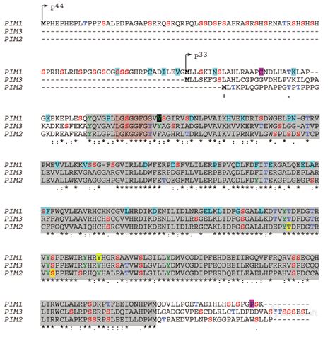 什么是 Clustalw2？（european Bioinformatics Institute开发）