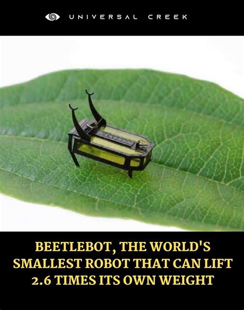 Beetlebot The Worlds Smallest Robot Small World Scientific
