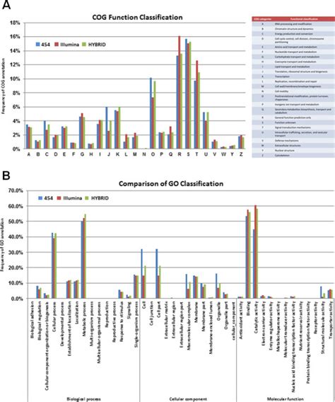 assignment of cog and go classifications to b edulis unigenes across