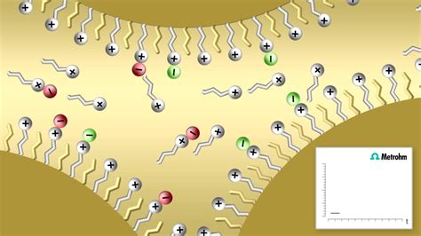 Ion Pair Chromatography Youtube