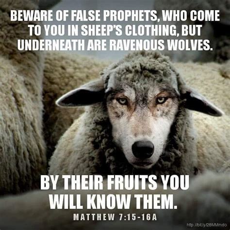 Beware Of False Prophets Disguised As Sheep Myfaithmypride
