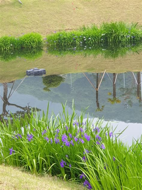 양산 동원로얄cc 코스정보와 라운딩 후기 네이버 블로그