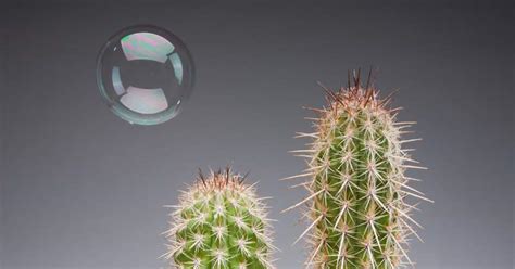 Recognising Fear Avoidance Behavior Sports And Spinal Physiotherapy