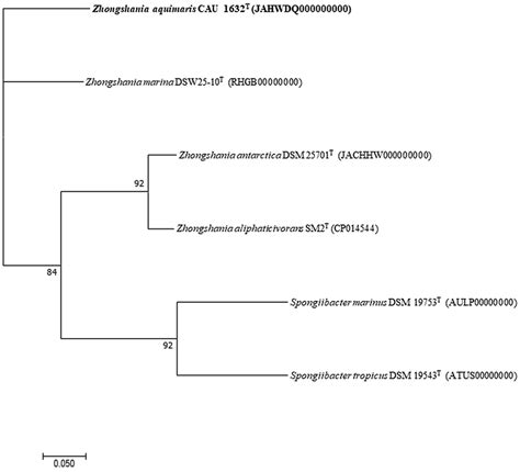 genome based phylogenetic tree reconstructed using ubcgs 92 core