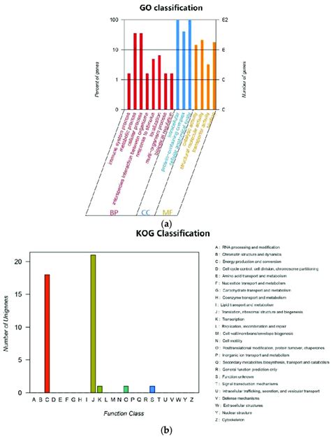 Classifications Of Gene Functions Of E Crus Galli Var Crus Galli E Download Scientific