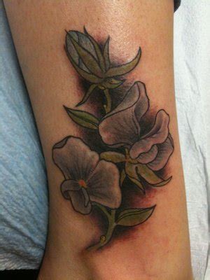 Purple Sweet Pea Flower Tattoo Best Flower Site