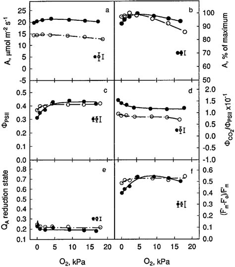 O 2 Effects On The Net Co 2 Assimilation A Net Co 2 Assimilation As