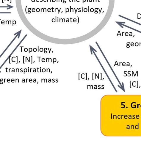 Coupling Of Several Sub Models Using The Multiscale Tree Graph Mtg Download Scientific