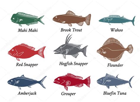 Conjunto De Peces Dibujados A Mano Coloridos Aislados Con Nombres