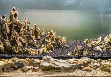 How To Design And Build Custom Aquariums