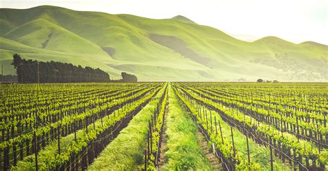 Regression Coefficients How To Calculate Them Outlier