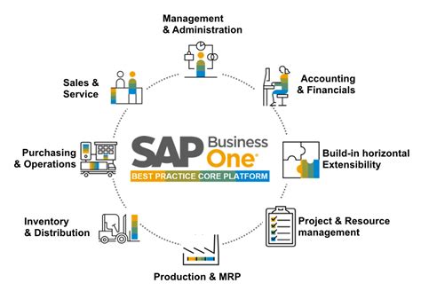 Sap Business One Sap Erp Software For Small Business Growth Third Wave