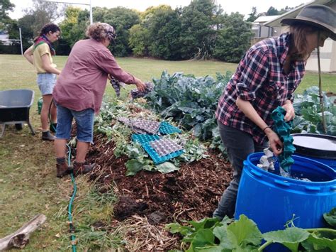 No Turn Composting Using The Spice Method — Common Unity