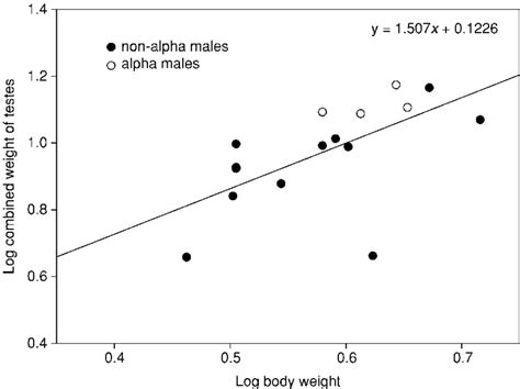 Logarithmic Plot Of Combined Weight Of Testes Versus Body Weight In Download Scientific Diagram