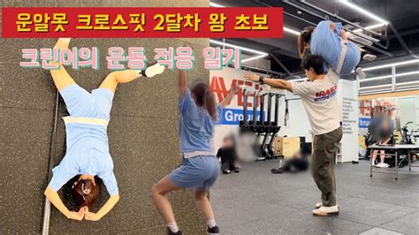 크로스핏 Vlog 1 크린이는 아무것도 못해요 다이어트 할 수 있을까요 Youtube