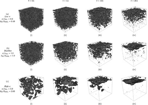 Visualization Of The Segregation Process For Varying R Rows Correspond