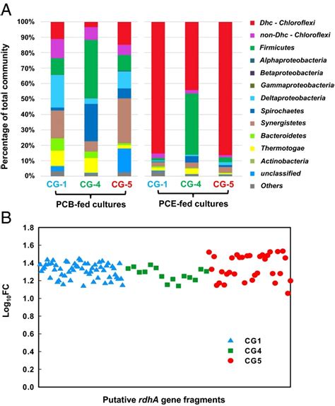 Genomic Characterization Of Three Unique Dehalococcoides That Respire