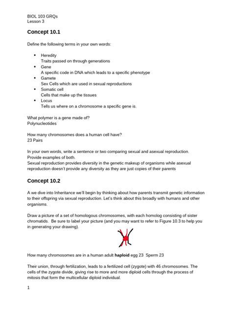 Lesson 3 Grqs 1 Pdf Dominance Genetics Ploidy