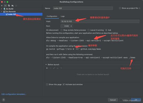 在linux上使用dlv进行远程调试教程 Csdn博客