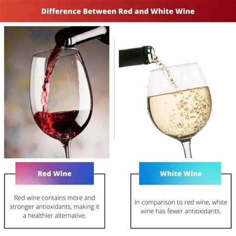 Red Vs White Wine Difference And Comparison