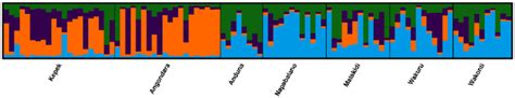 The Genetic Structures Of 96 Individual Trees On Each Population Based Download Scientific