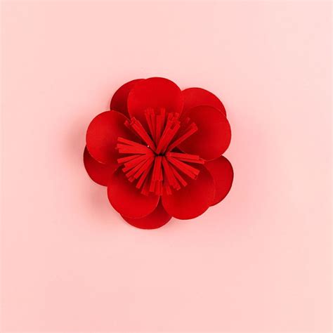 복숭아 꽃 크리 에이 티브 종이 절단 슈팅 소품 꽃 Papercut 쥬얼리 화장품 배경 사진 Props 빨간색