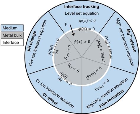 A Schematic Overview Of The Exposed Boundary Conditions And Constraints Download Scientific