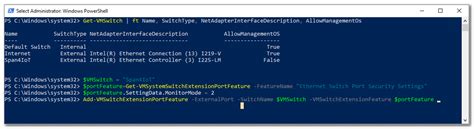 Set Hyper V Network Switch Into Promiscuous Mode Herr Hozi