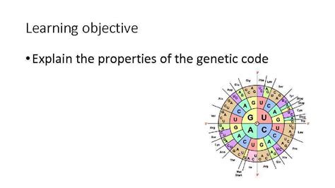 The Properties Of The Genetic Code Learning