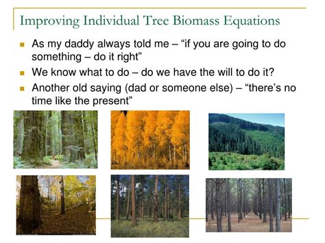 Ppt Improving Individual Tree Biomass Equations For National Scale