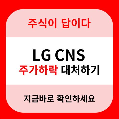 Lg씨엔에스 하락한 주가 대비하기 주식공부법