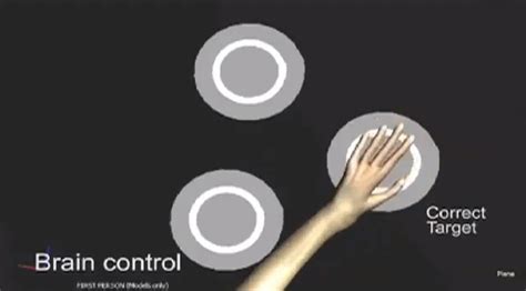 Monkeys Use Brain Interface To Move And Feel Virtual Objects Ieee
