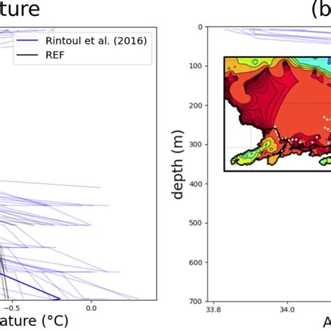 Vertical Profiles Of Temperature A And Salinity B After The Bias