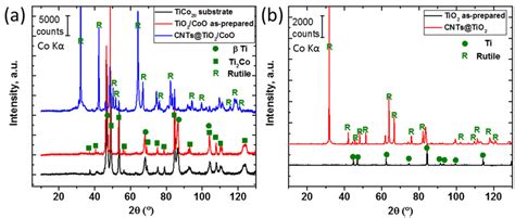 Xrd Patterns Of The Ti80co20 Alloy Substrate The As Anodized Tio2 Coo