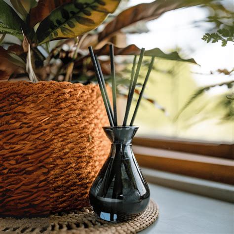 Ambience By Evoqua 1 A Scented Home Candle And Diffuser 12 Months Ambience By Evoqua 1 A Scented Home Candle And Diffuser 12 Months