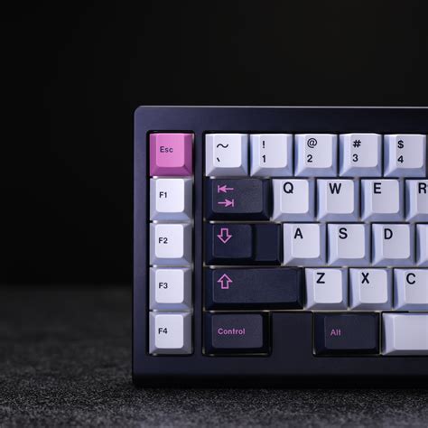 [GB] saevus cor65XT - Oct. 7 to Oct. 30