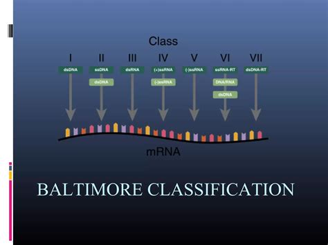 Viral Taxonomy Microbiology Ppt Operating Systems Computer