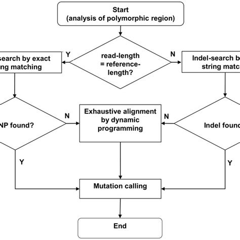 Analysis Of The Polymorphic Region Schematic Flowchart Each
