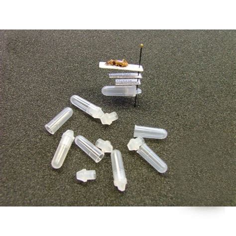 Genitalia Micro Vials Per 100 Pieces Veldshop Nl