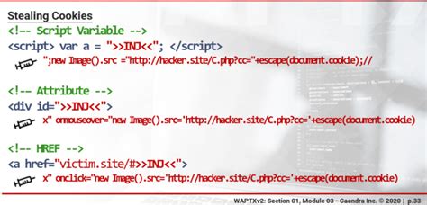 Cross Site Scripting Xss