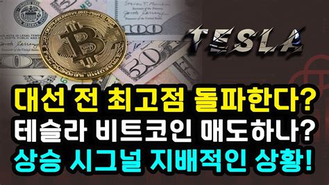 비트코인 대선 전 최고점 돌파 가능하다는 차타드 테슬라 대규모 지갑 이동 매도 시그널 Jp모건 Btc 강세전망 유지 솔라나