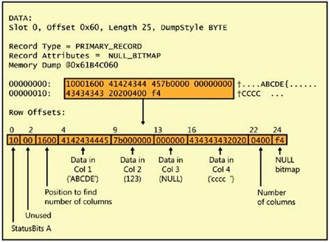通过dbcc Page查看页信息验证聚集索引和非聚集索引节点信息 Csdn博客